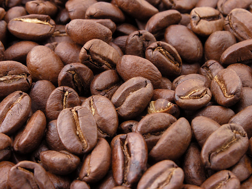 The Life Cycle of the Coffee bean – StepUp Coffee